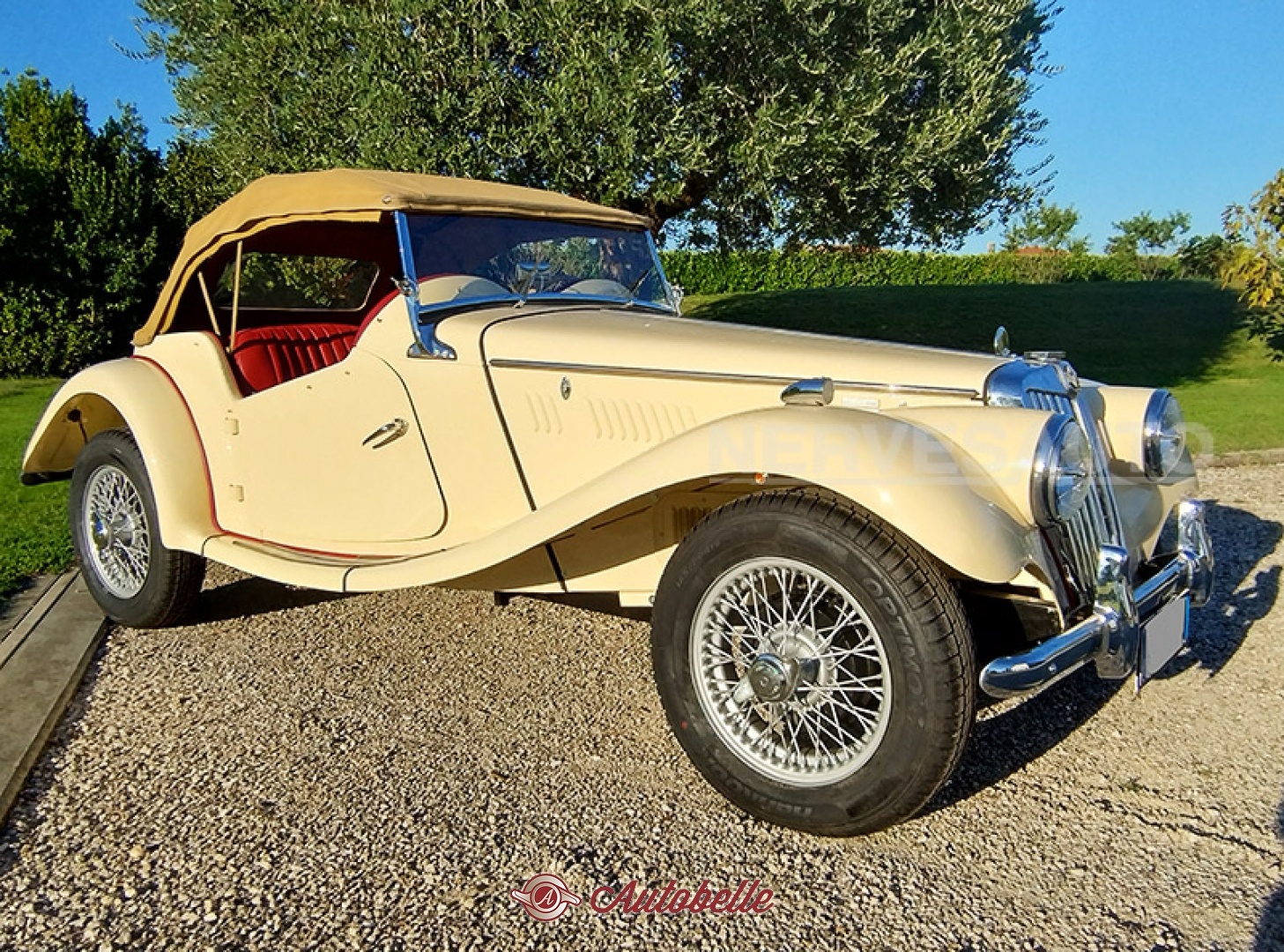 For sale MG TF spider del 1954 - COMPLETAMENTE Restaurata