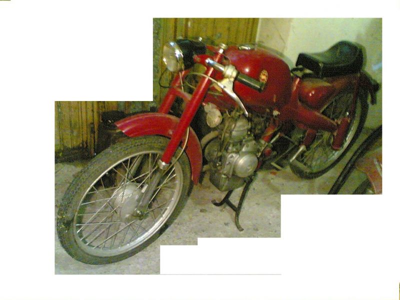 Vendo motom sport