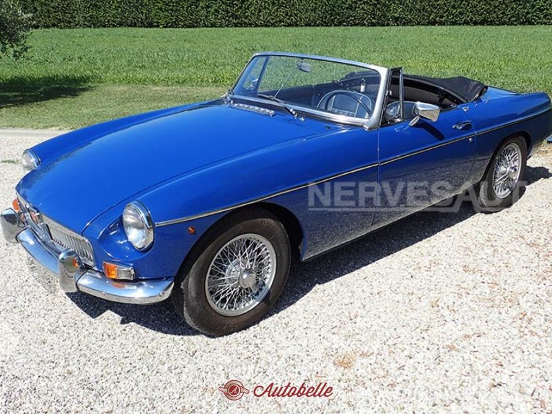 Mg Spider